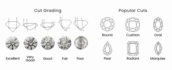 Why Does Moissanite Price Vary So Much? The Truth & Difference | Zearrow